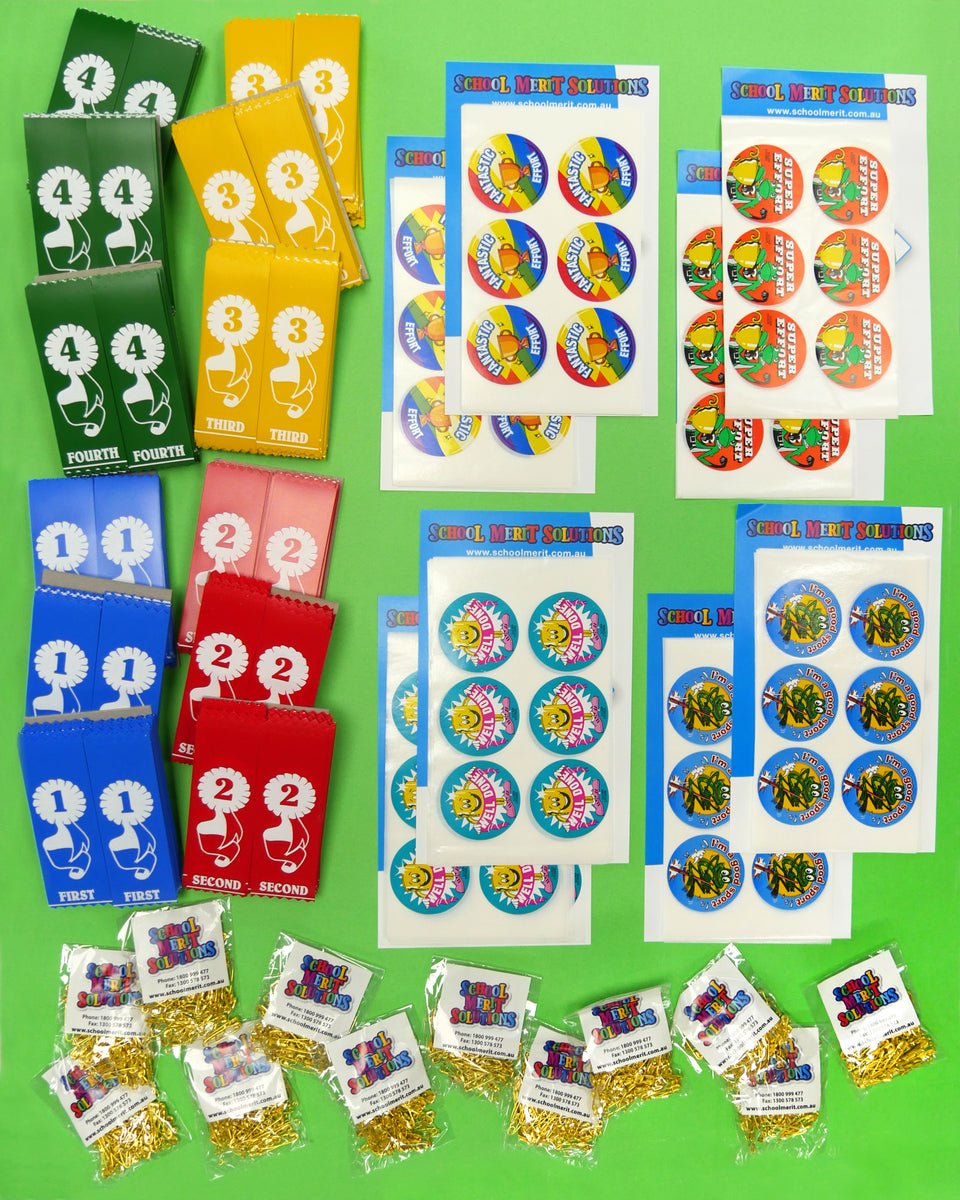 Vinyl Ribbons Pack (large) – School Merit Solutions